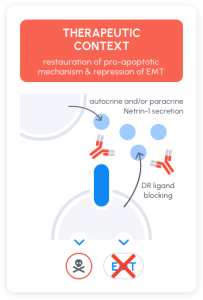 NP137-Lead asset - NETRIS PHARMA